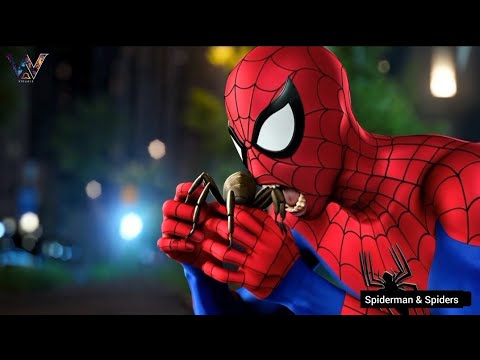 Spider-Man Eating Spiders | AI 2024 - YouTube
