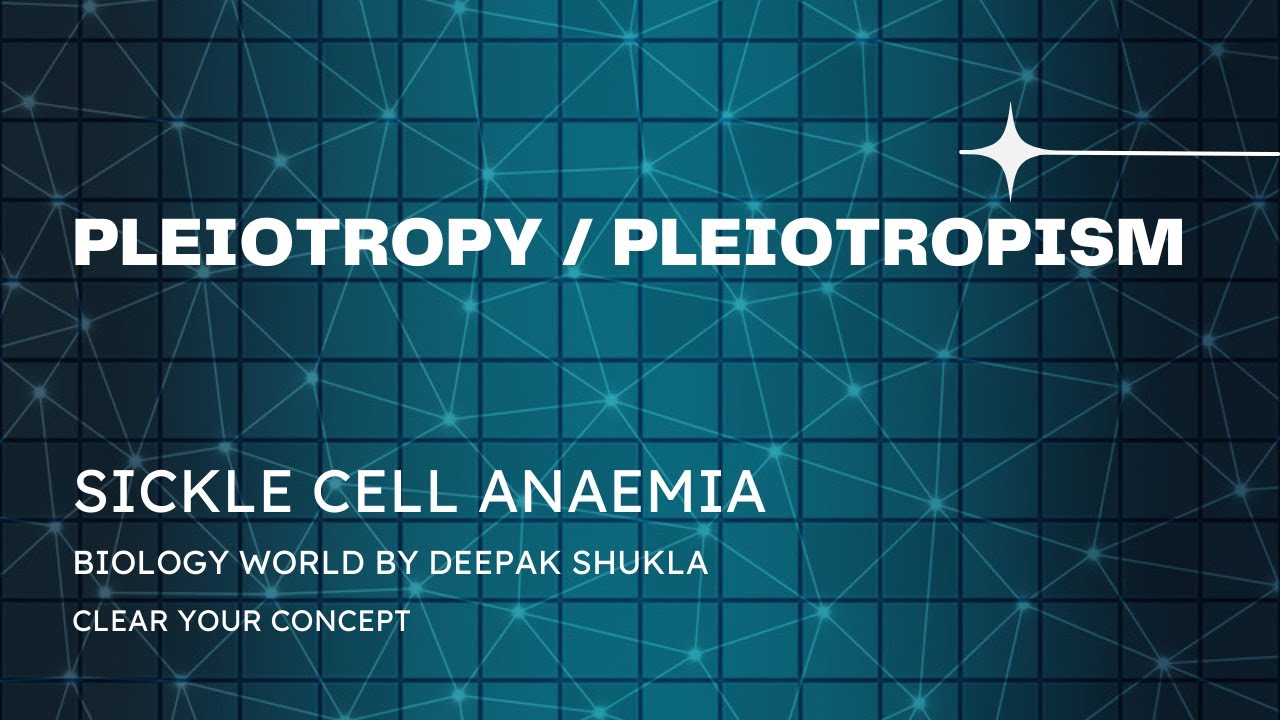 Pleiotropy Sickle Cell Anemia
