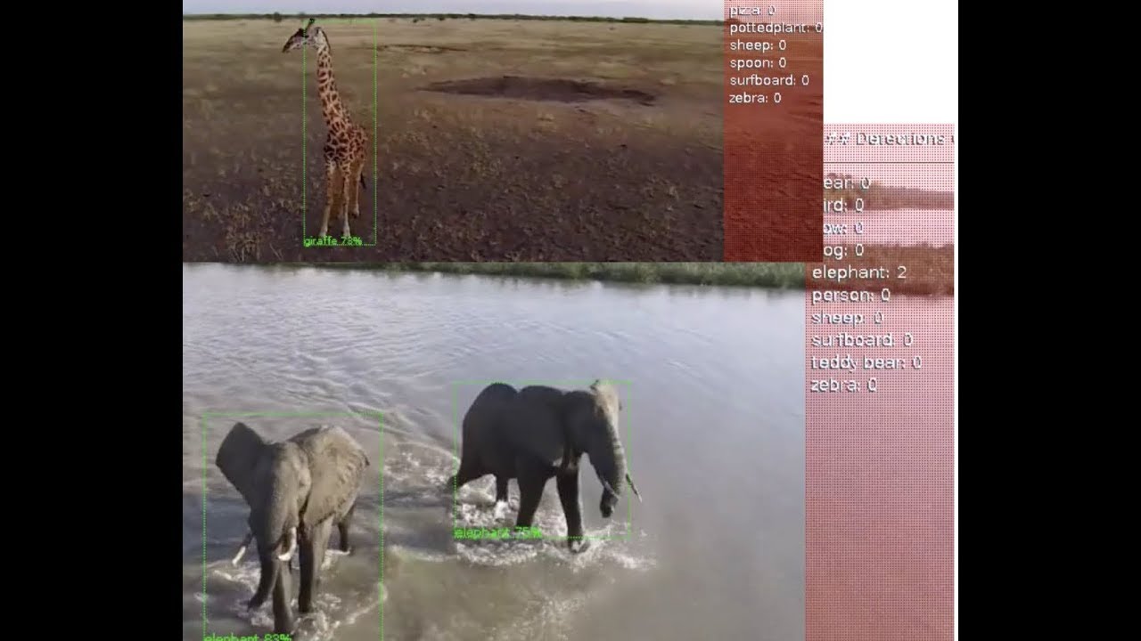 IDenTV A.I. in the Wild: Aerial Automated Animal Tracking via ...