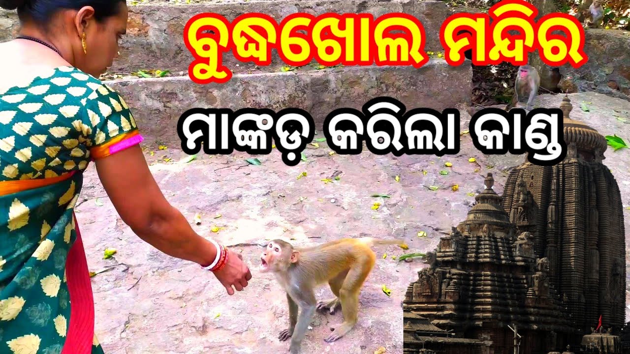 ବୁଦ୍ଧଖୋଲ ମନ୍ଦିର | Budhakhola mandir | Budhakhola temple history ...