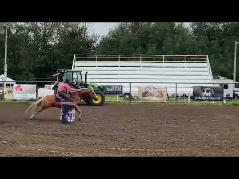 FAMOUS TA FIRE 3rd in the 1D BIG BANG FUTURITY - YouTube