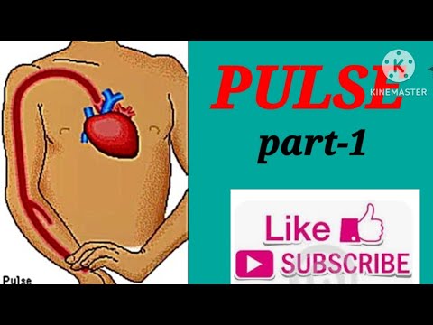 pulse .....definition ,sites,factor affecting tha pulse - YouTube