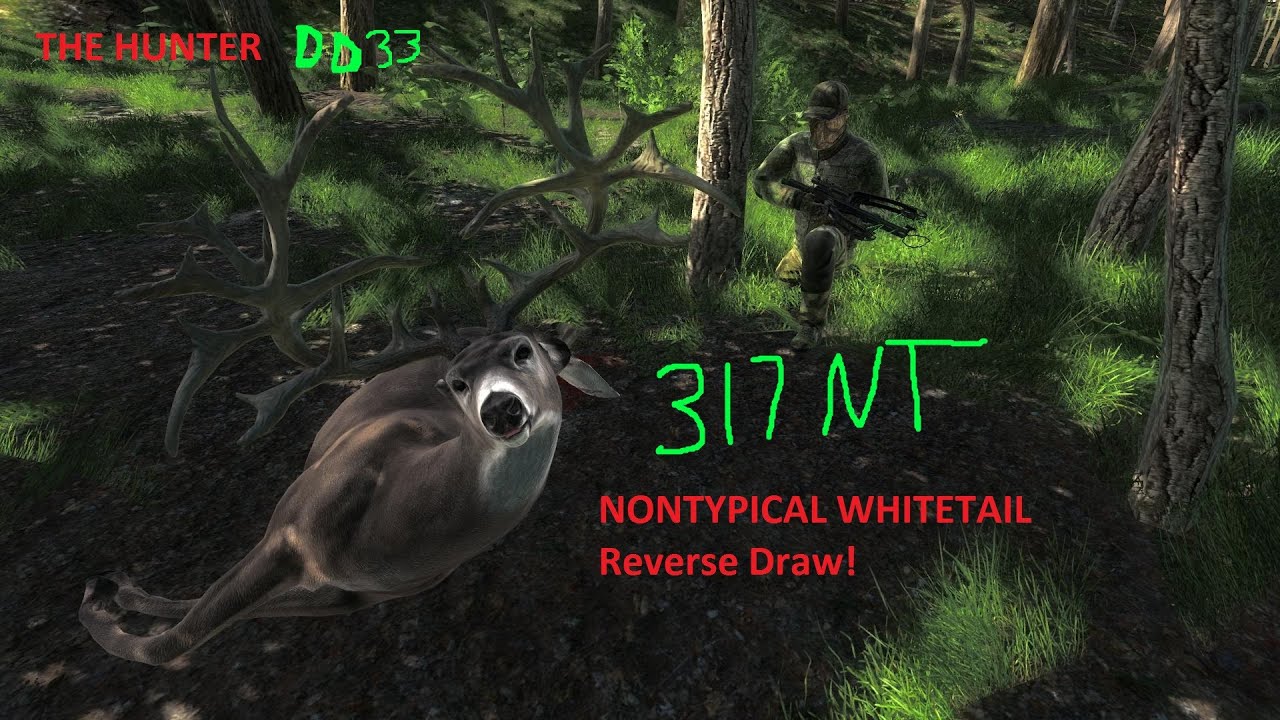 THE HUNTER: DD33 317 NT Giant NONTYPICAL Whitetail Reverse Crossbow ...