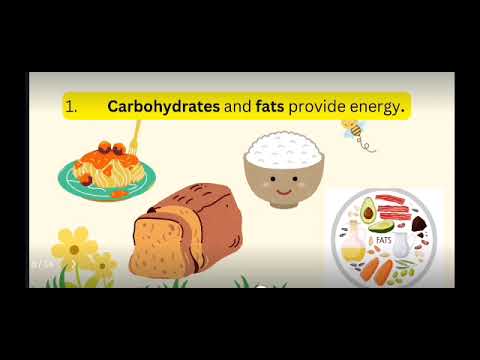 MAPEH 3 | Healthy Food for the Body - YouTube