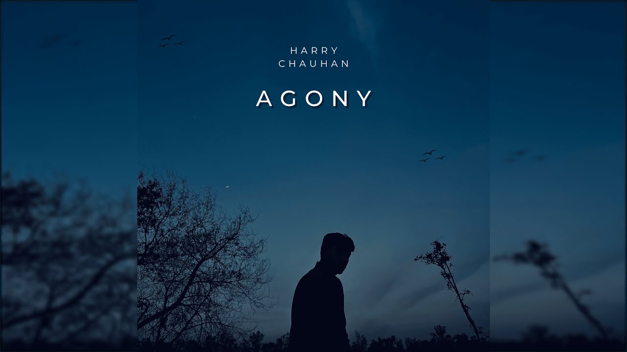 Harry Chauhan - Agony (Audio) - YouTube