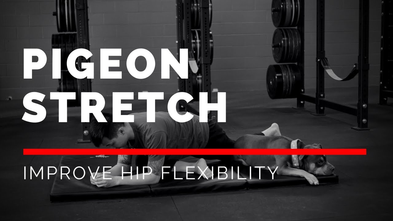 Pigeon Stretch (The BEST Glute Flexibility Exercise) - YouTube