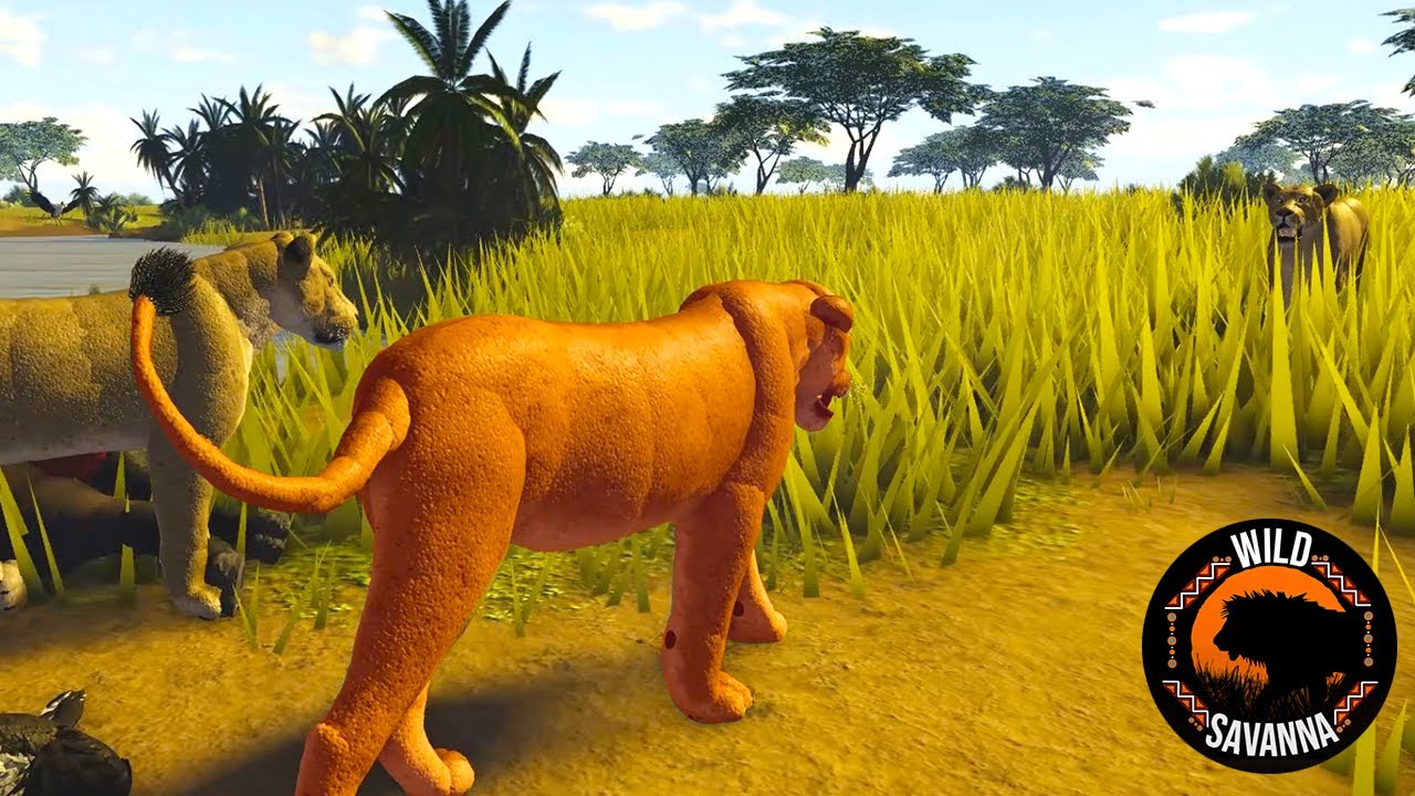 NEW COLORED LION!? Wild Savannah Funny/Weird Moments #8 - YouTube