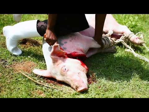 Frau schlachtet Schwein