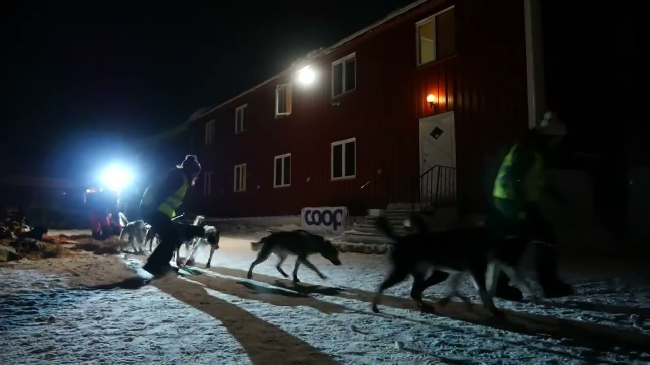 Harald Tunheim ut fra Karasjok - YouTube