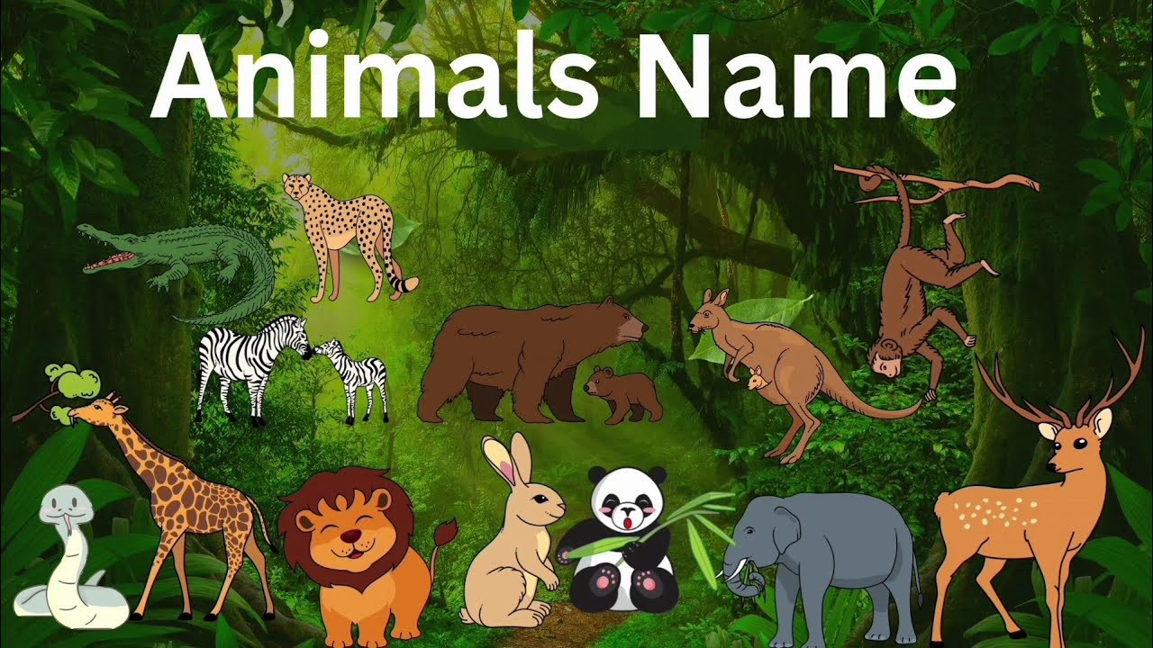 Animals Names | Learn animals names in English | Animal ke Naam English ...