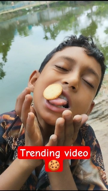 Ultimate Epic Biscuit Game Challenge – Can I Survive the Biscuit ...