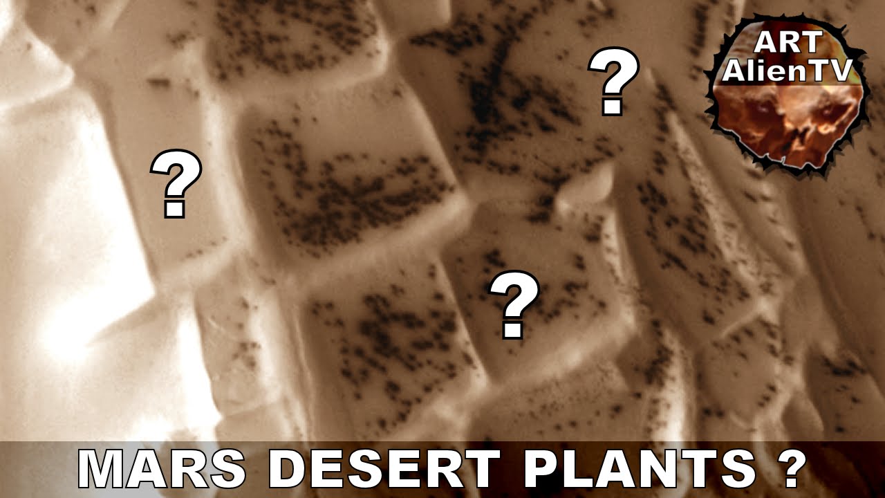 MARS Desert Plants & Structures - Seasonal Veg. Angustus Labyrinthus ...