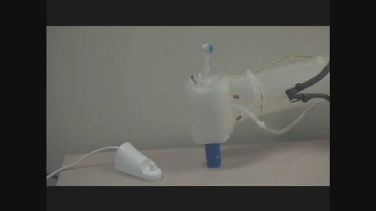 The Inflatable Arm: Inflatable Torus - YouTube