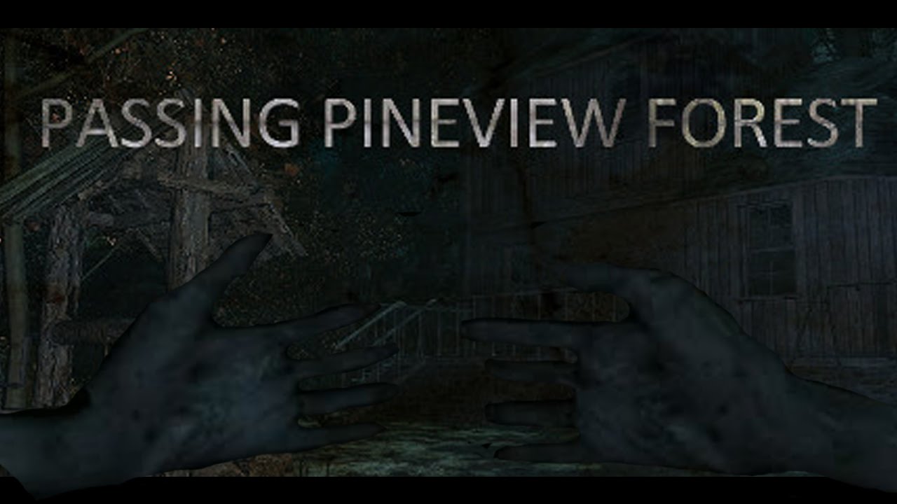 Zoinks! I Think I'm Not Alone | Passing Pineview Drive - YouTube