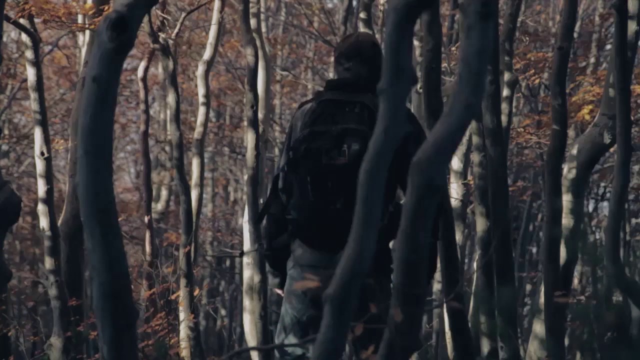 Live Action High Definition Sample 6 - YouTube