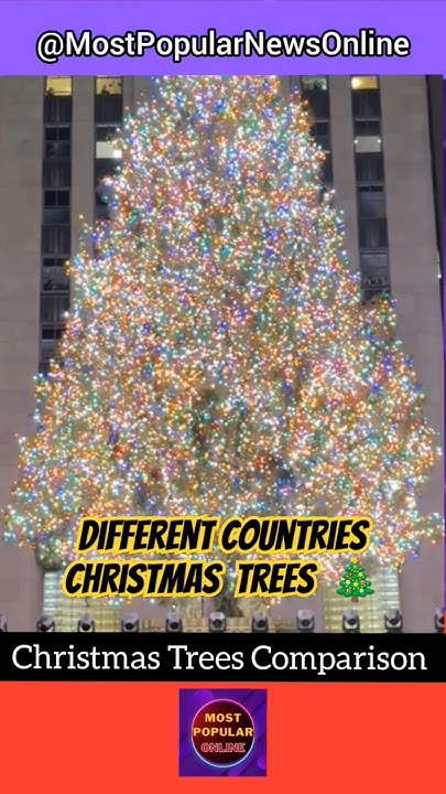 Different Countries Christmas Trees #londonchristmastree Looks Best 🎄 ...