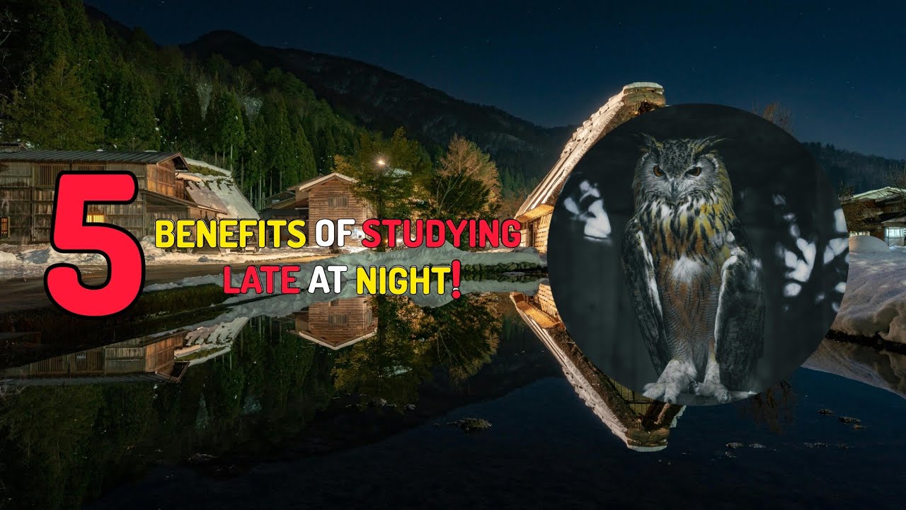 5 Benefits Of Being A night Owl🦉.|Must Watch. - YouTube