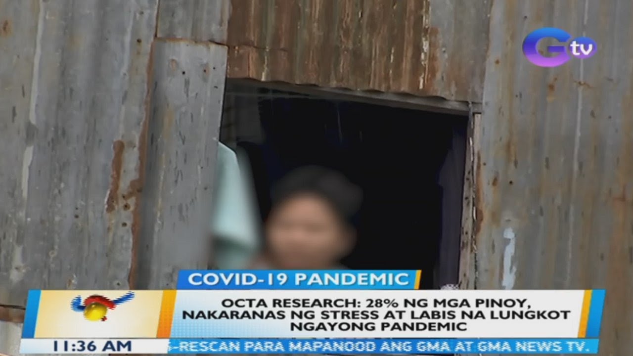 OCTA Research: 28% ng mga Pinoy, nakaranas ng stress at labis na ...