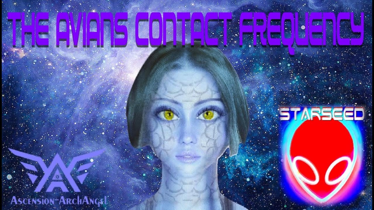 The Avians Contact Frequency - StarSeeds Future-Channeled Binaural Beat Plus Isochronics - YouTube