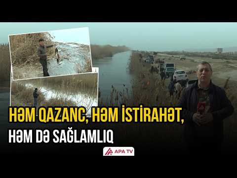 Baş Şirvan kanalının Salyandan keçən hissəsi balıqçıların ən sevimli məkanıdır | APA TV