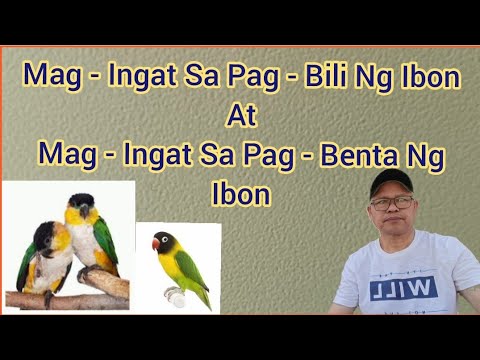 Mag-Ingat Sa Pag-Bili Ng Ibon, At Mag-Ingat Sa Pag-Benta Ng Ibon, # ...