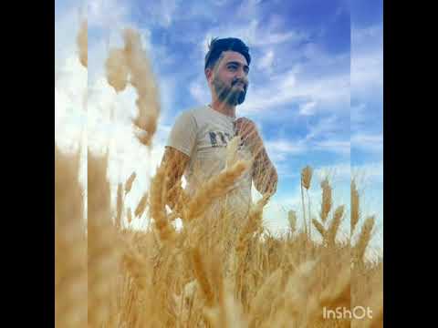 Muammer Kaplan * Bomba Grani 2020*