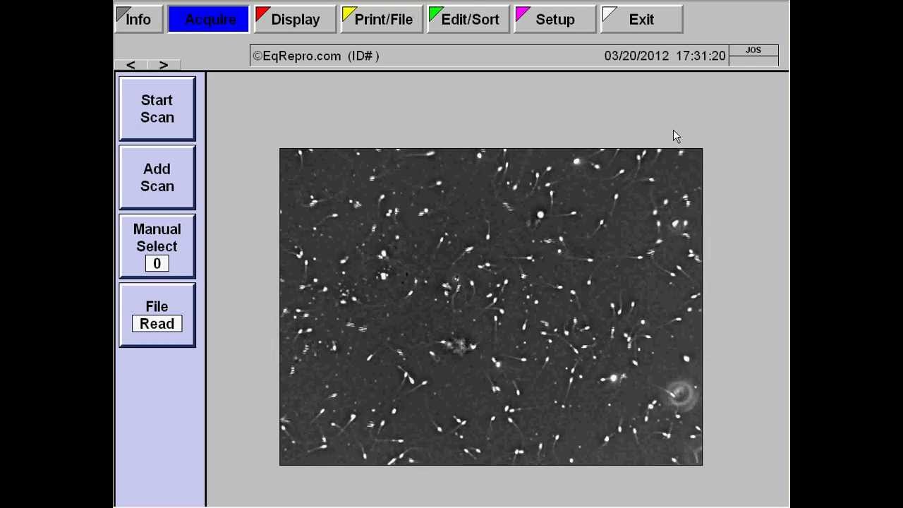 Equine Sperm Showing Poor Motility Evaluated by CASA (2); © Equine ...