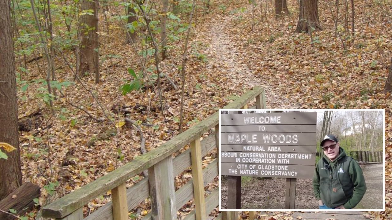 Deep Roots | Native Plants at Noon: On the Road to Maple Woods Natural ...