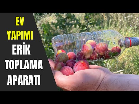 Pet Şişeden Meyve Toplama Aparatı #keşfet