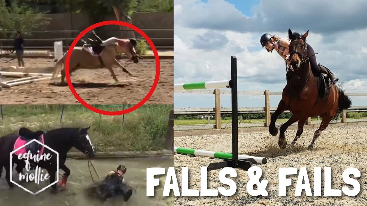 horse FALLS & FAILS | Subscriber Edition - YouTube