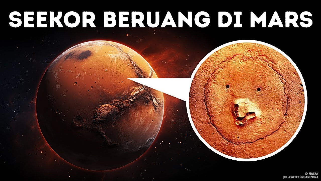 Astronom NASA Temukan ’Beruang’ di Mars - YouTube