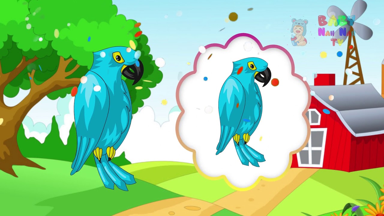 PARROT Finger Family Song | Daddy Finger Nursery Rhymes for Children ...