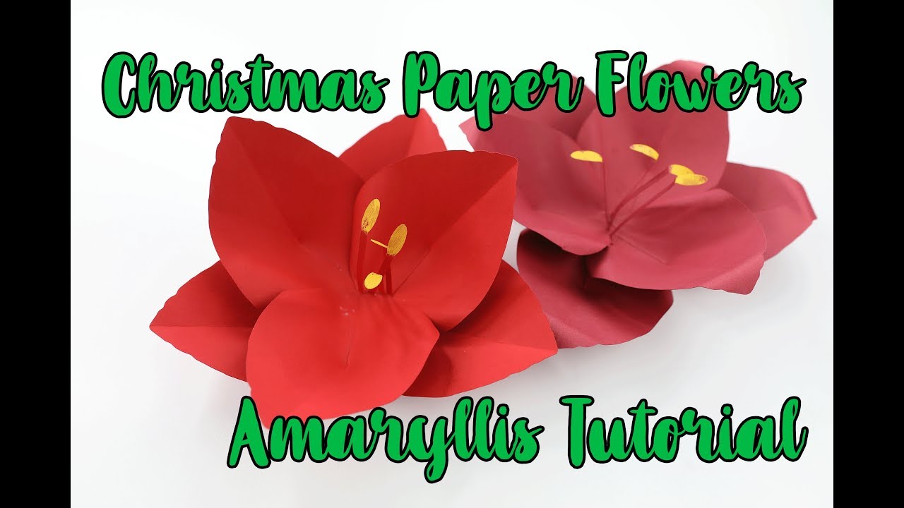 Paper Amaryllis Tutorial | Christmas Paper Flowers / Template #27 ...