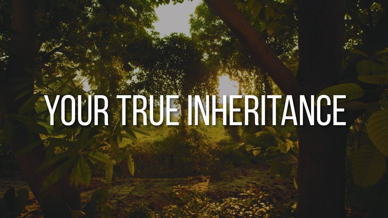 Your True Inheritance: A Channeled Lecture from March 7, 2020 - YouTube