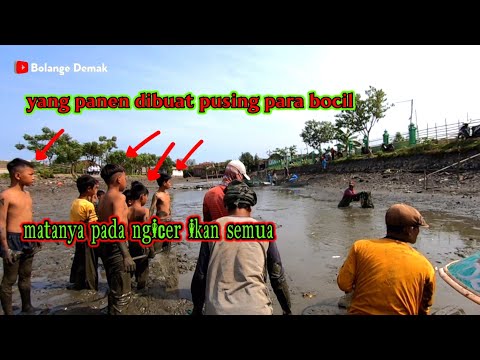 yang panen sampe kualahan diserang pasukan bocil dan ibu ibu