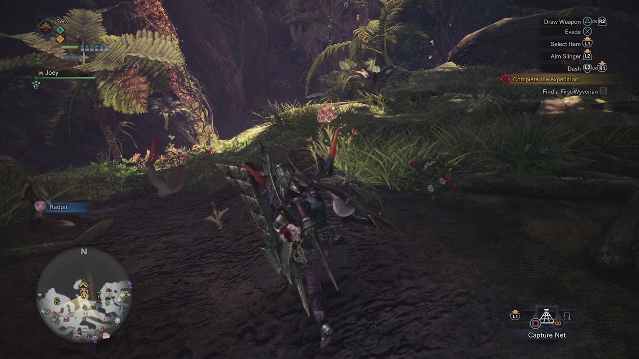 WAIT NO COME BACK - YouTube