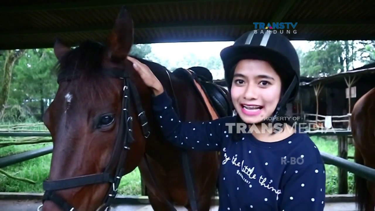 Wisata Edukasi Perawatan Kuda - YouTube