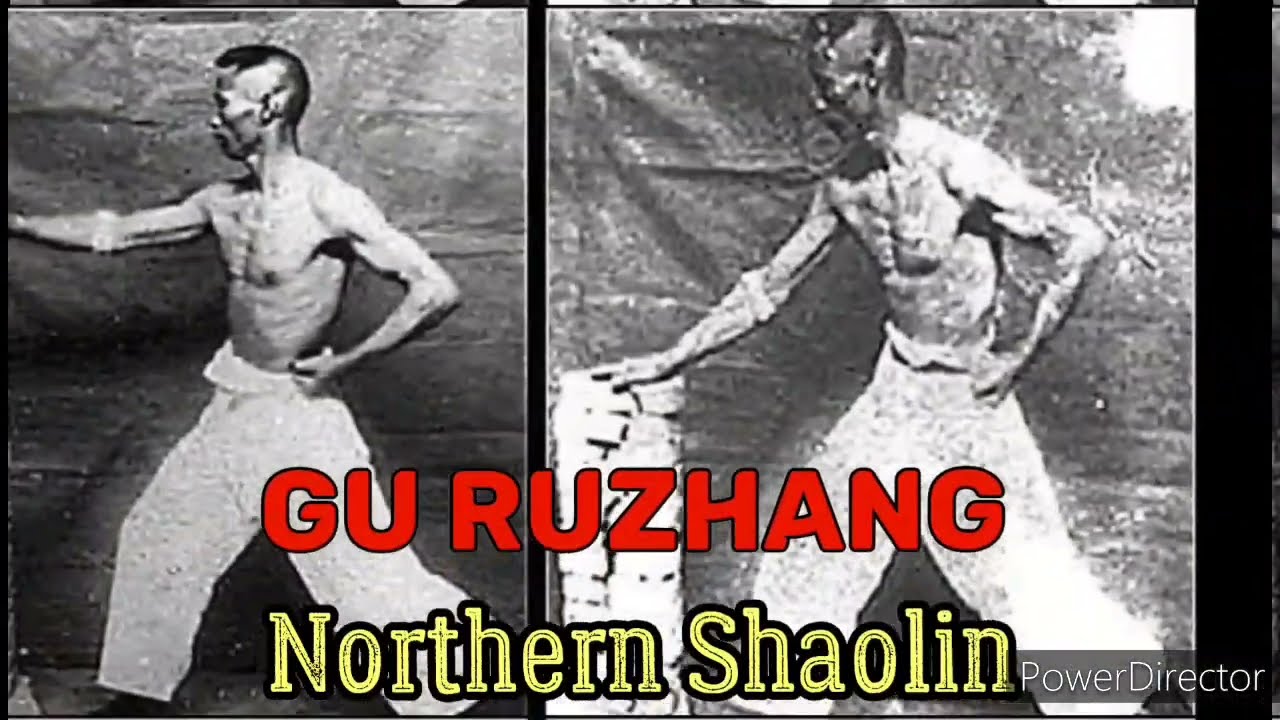 Wu Yi Quan (Martial Skill) Northern Shaolin #5 Gu Ruzhang lineage - YouTube
