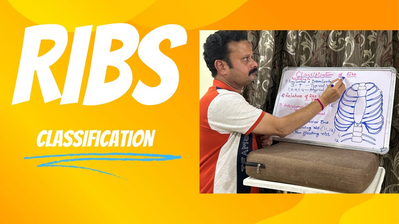 RIBS—classification - YouTube