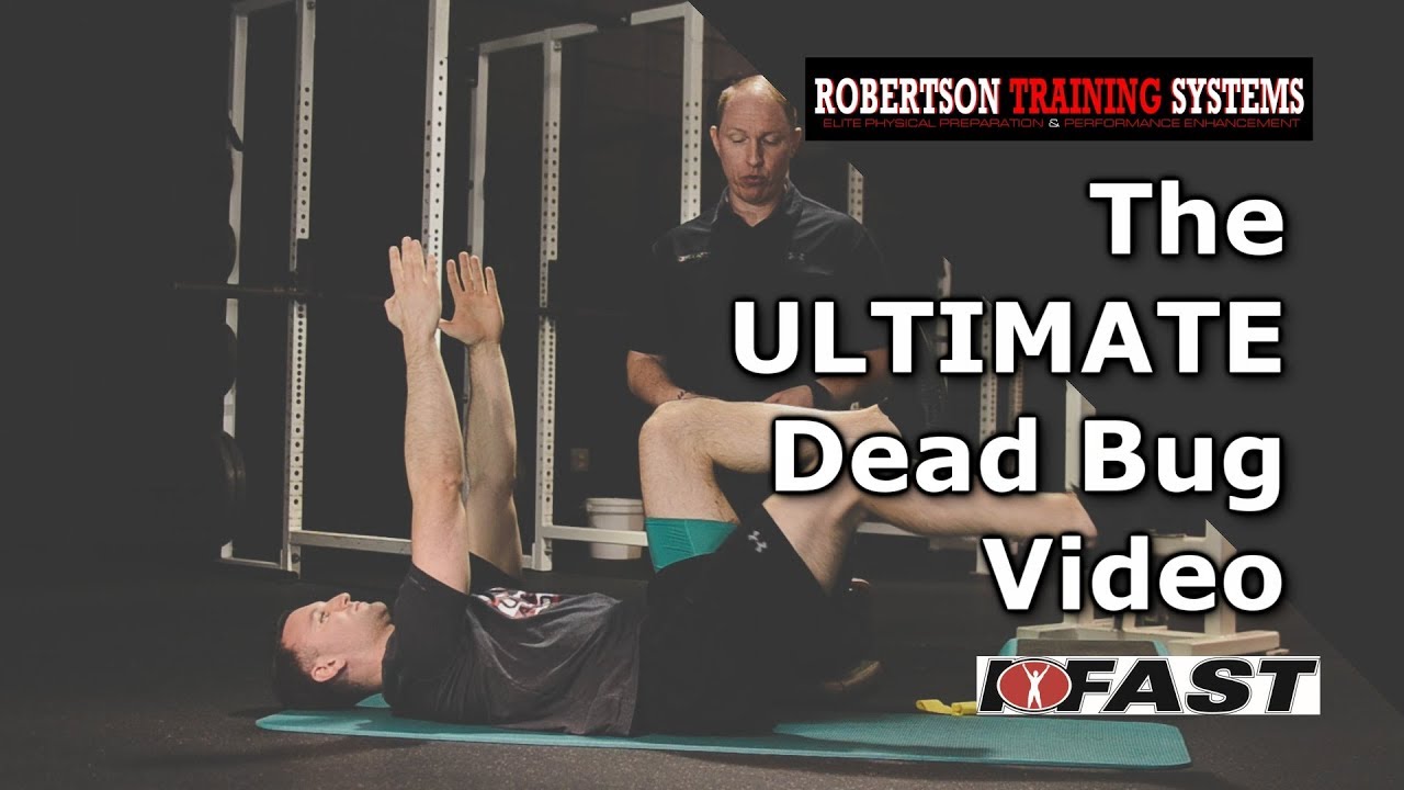 The ULTIMATE Dead Bug Video - YouTube