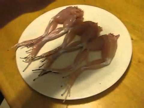 Dancing Frog Legs - YouTube