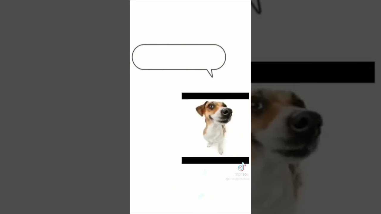 wenomechainsama dog - YouTube