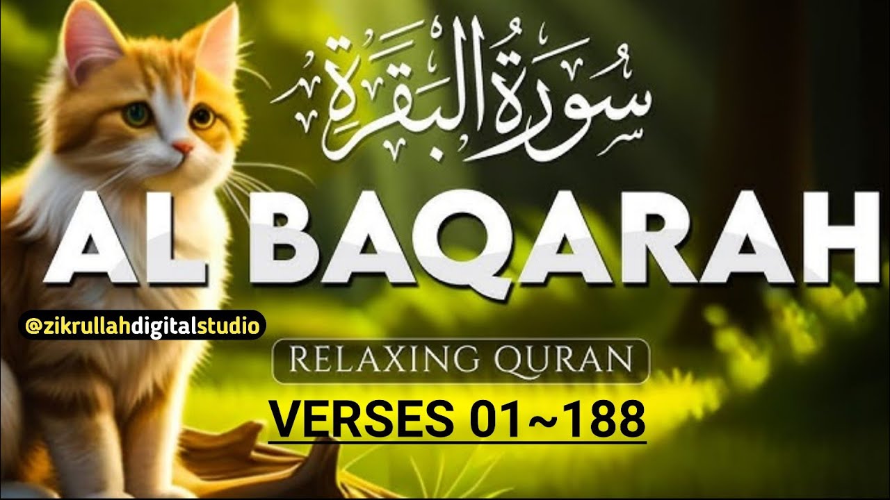 Surah Al-Baqarah البقرة (Verses 1-188) - Spiritual Connection With ...