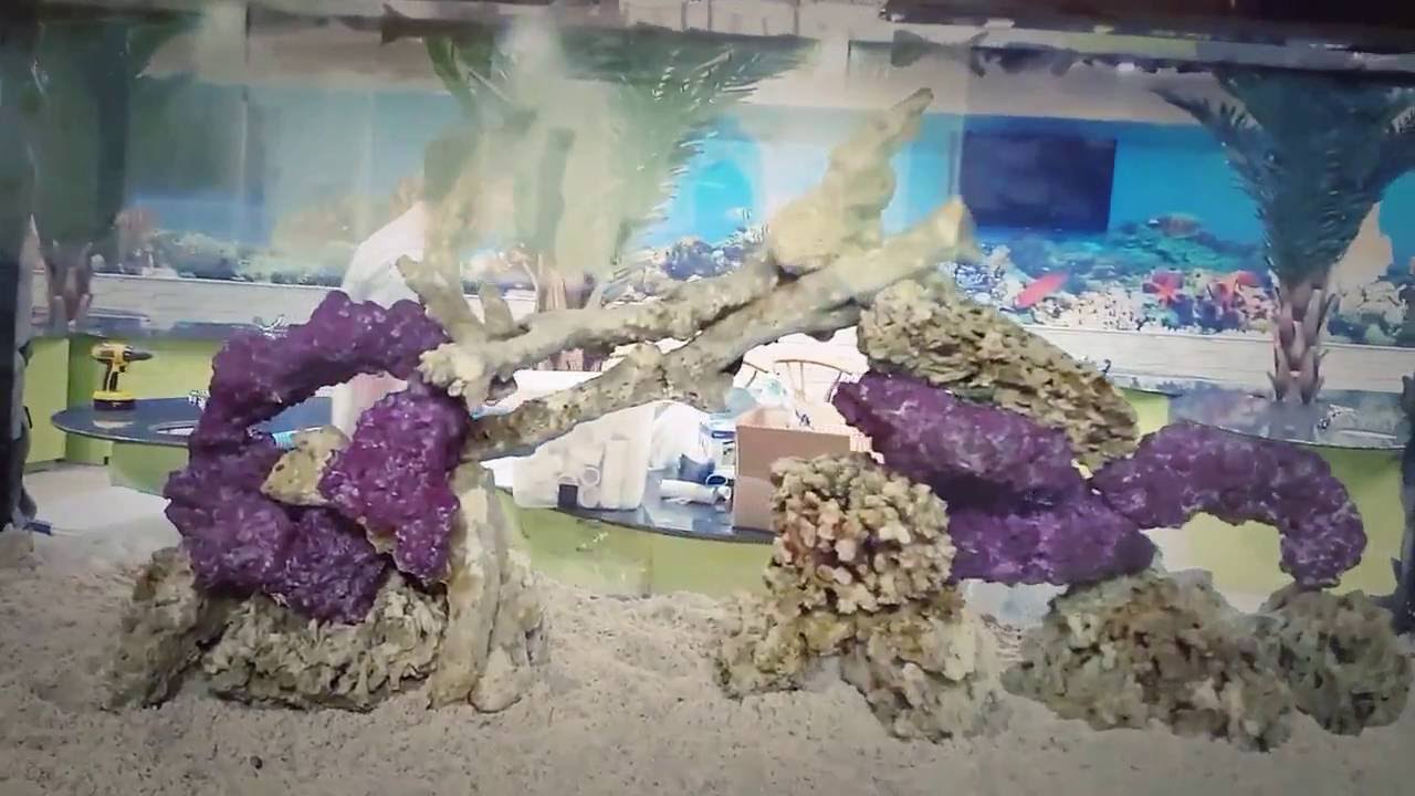 New Custom Aquarium Tank Filling. This saltwater fish tank is all ready ...
