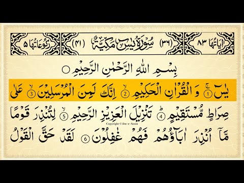 Surah Yasin Full with Arabic Text | Sheikh Al Aql | Ep - 034 #surahyaseen
