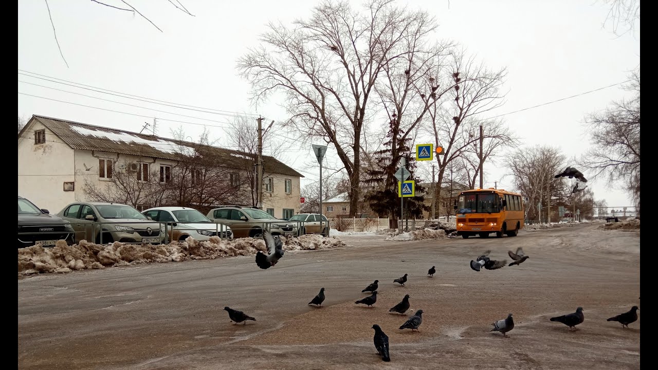 462. Togliatti, Yagodnoye, Lunacharsky. Samara region, Russian ...