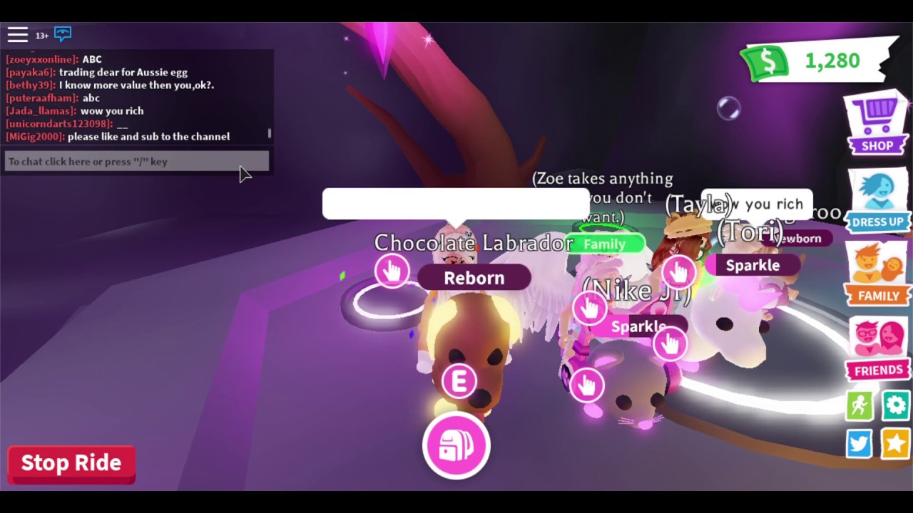 Making a NEON FLY RIDE Chocolate Labrador! Adopt Me Roblox - YouTube