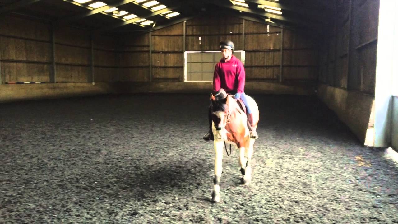 Buzz Flatwork - YouTube