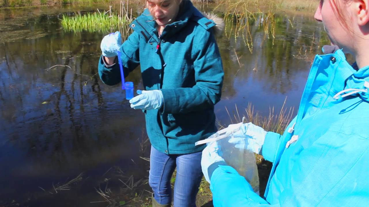 Freshwater Habitats Trust How to Videos - eDNA kits - YouTube