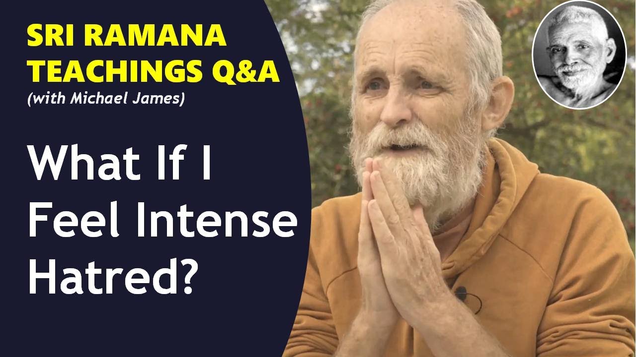 What To Do When You Feel Intense Hatred and Want Revenge Against a ...